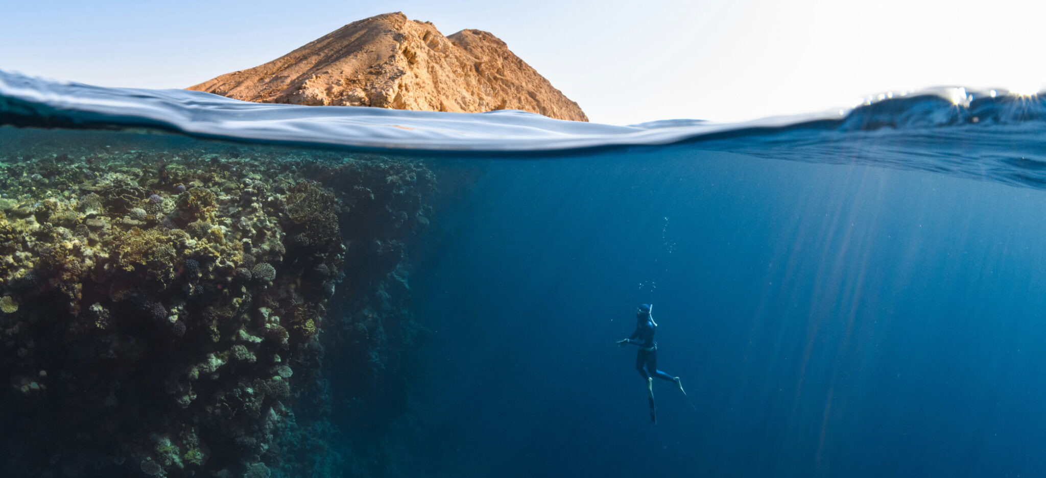 Cathelco® Maritime Solutions for Biofouling Management