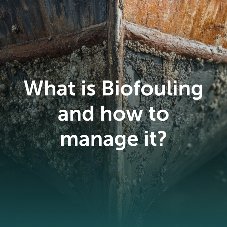 What is Biofouling and how to manage it? - Cathelco